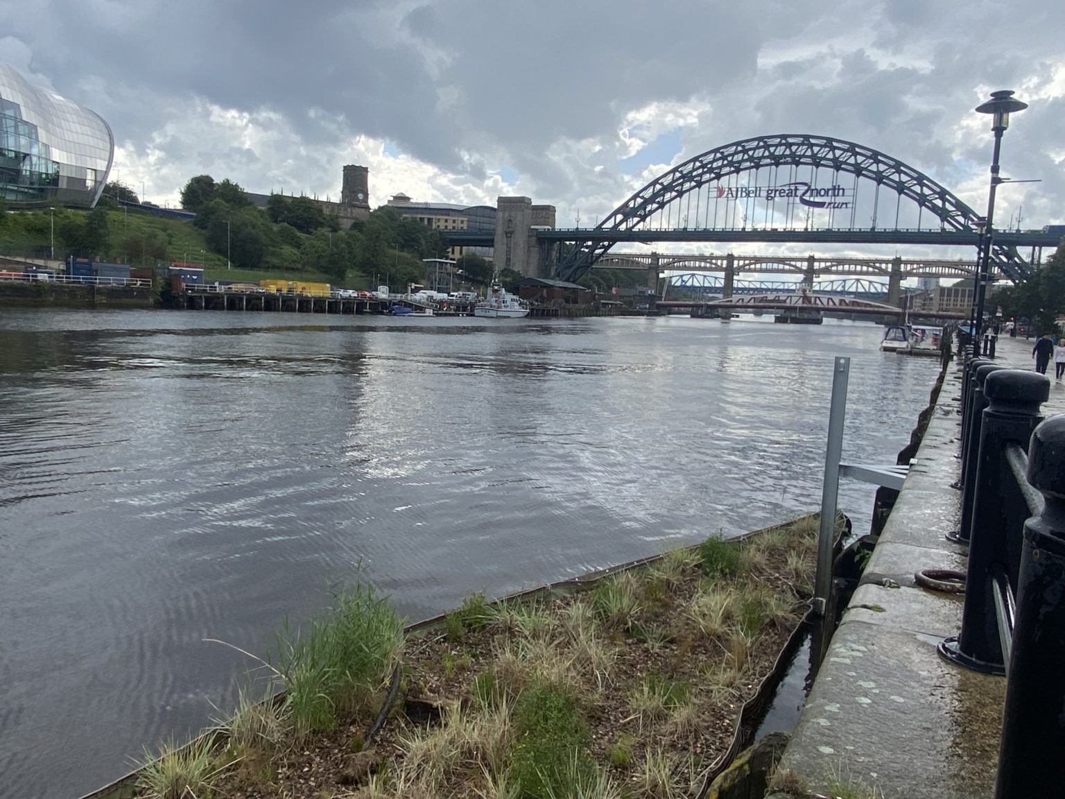 Local Ecological Impacts of High-Tide Floating Ecosystems | stay-withriver