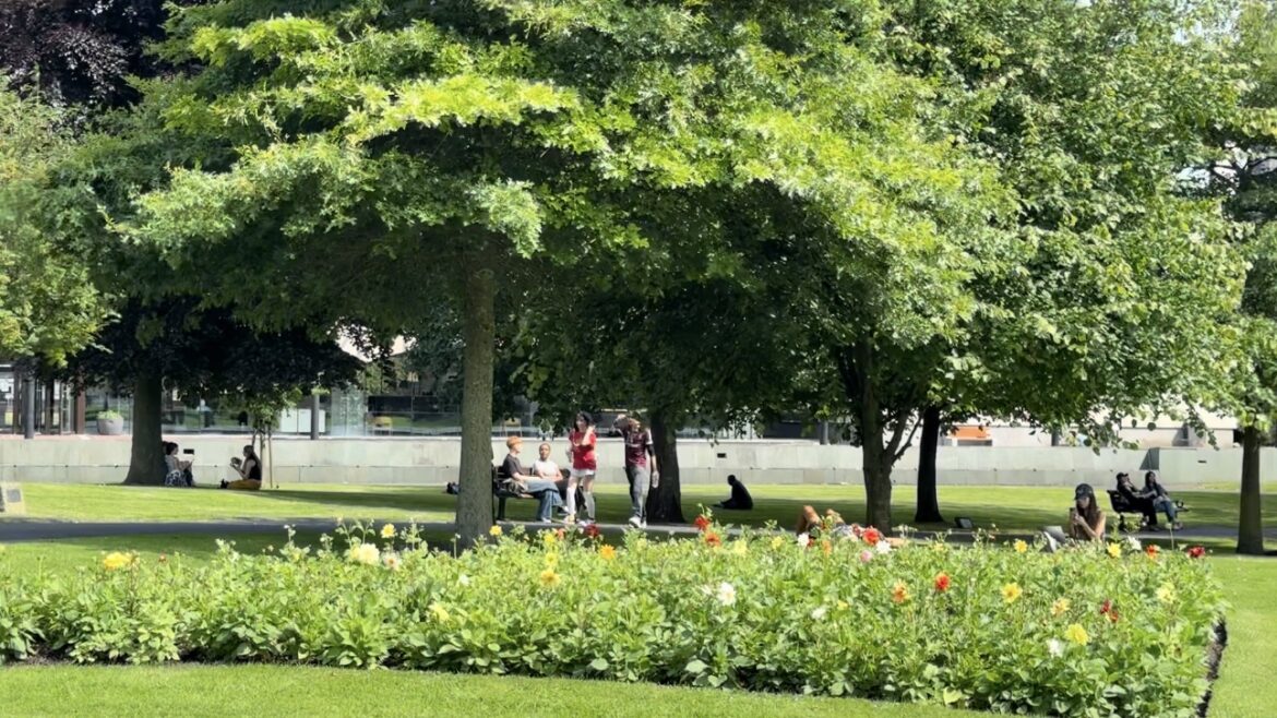 Green therapy: The Twenty Minutes in the Park Effect on Mental Health ...